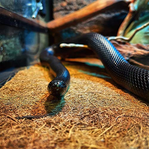 Hamiledyi Reptile Carpet Mat Coconut Fiber,Tortoise Substrate Liner Lizard Reptile Coco Liner for Bearded Dragon Snake Gecko Turtle Lizard Chamelon Iguana