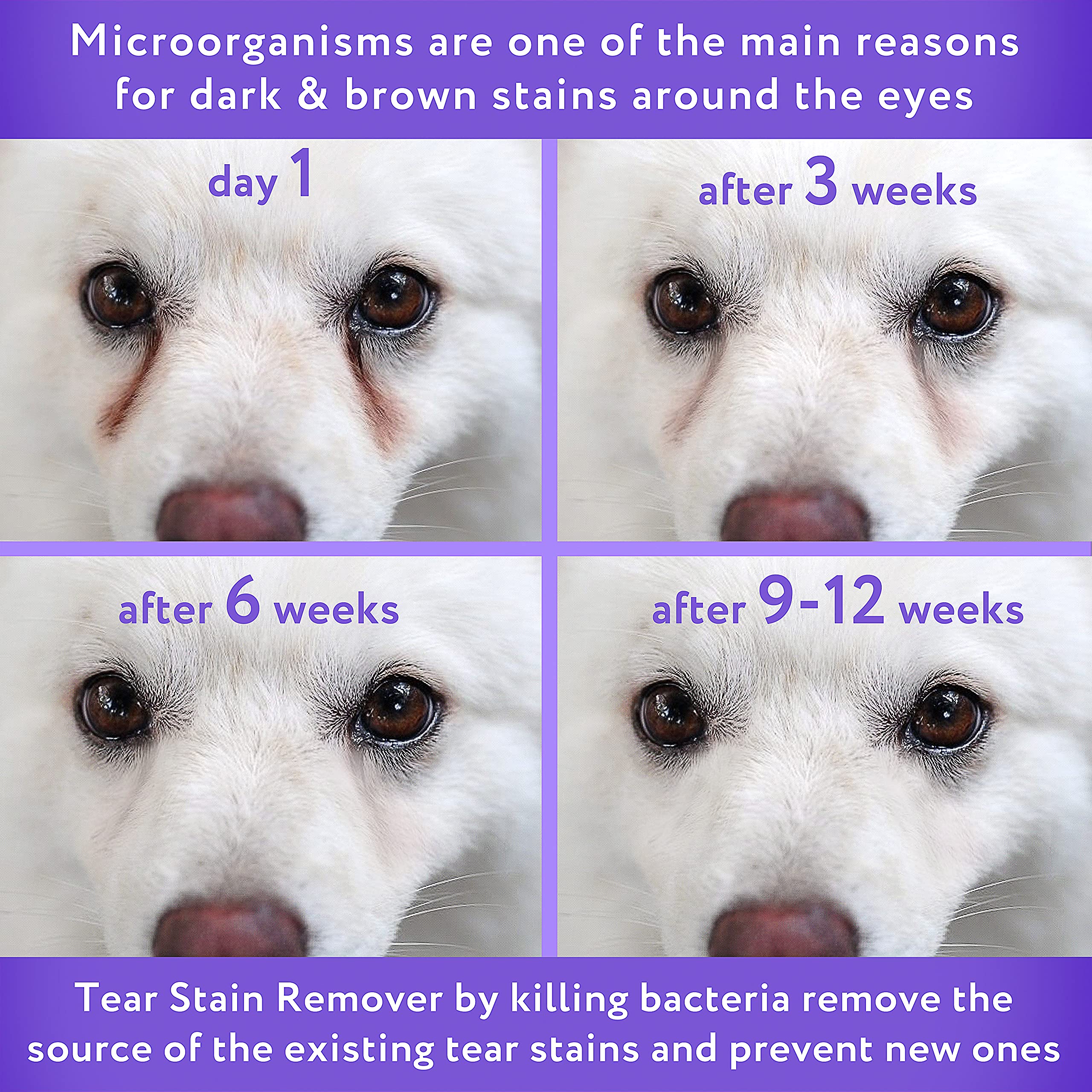 Arava Natural Tear and Stain Remover for Dogs and Cats - Effective Solution with 26 Dead Sea Minerals, Removes and Prevents Eye and Saliva Stains