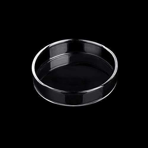 Dannisly Aquarium Glass Feeder Dish Shrimp Feeding Dish Round Clear Glass Fish Feeder Bowl Fish Tank Food Tray Container Prevent Food Spilling, 60mm