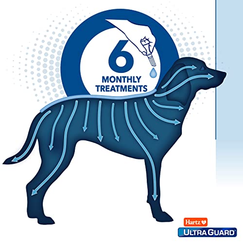 Hartz UltraGuard Dual Action Flea & Tick Topical Dog Treatment and Flea and Tick Prevention, 6 Months, 5-14 Pound Dogs 6-count(Pack of 1)