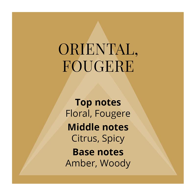 COLOUR ME Gold Homme by Milton-Lloyd - Perfume for Men - Spicy Aromatic Fragrance - Notes of Spices, Leather, Patchouli, and Amber Notes - Cologne for Men - 1.7 oz EDP Spray