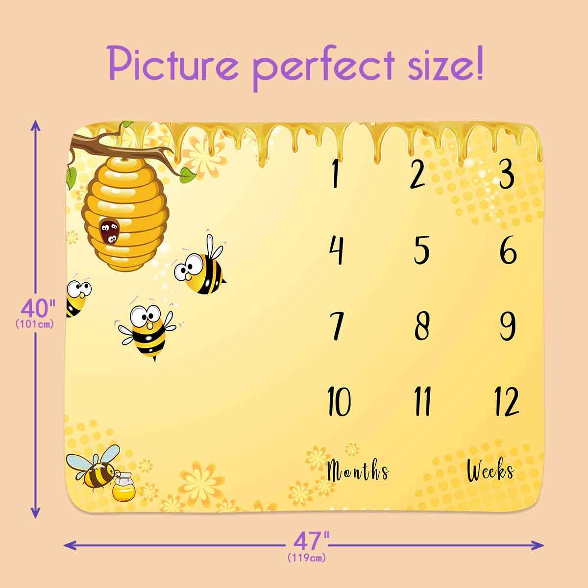 PHMOJEN Baby Age Milestone Blanket, Bee Honeycomb Blanket for Nursery, Baby 1-12 Months Growth Chart, Includes 4 Frame and 1 Headband 47"x40" BTQQPH33
