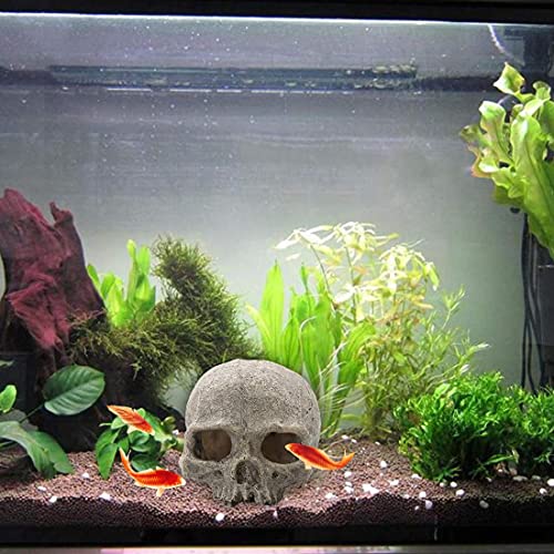 Tfwadmx Aquarium Skull Decor, Resin Fish Tank Decorations Cave Betta Fish Hiedout Reptile House for Small Fish,Shrimp