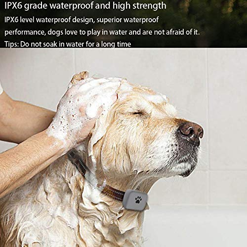 SEG Pet Location Tracker, Anti-Lost, Waterproof and Dustproof Miniature Locator for Dogs and Pets
