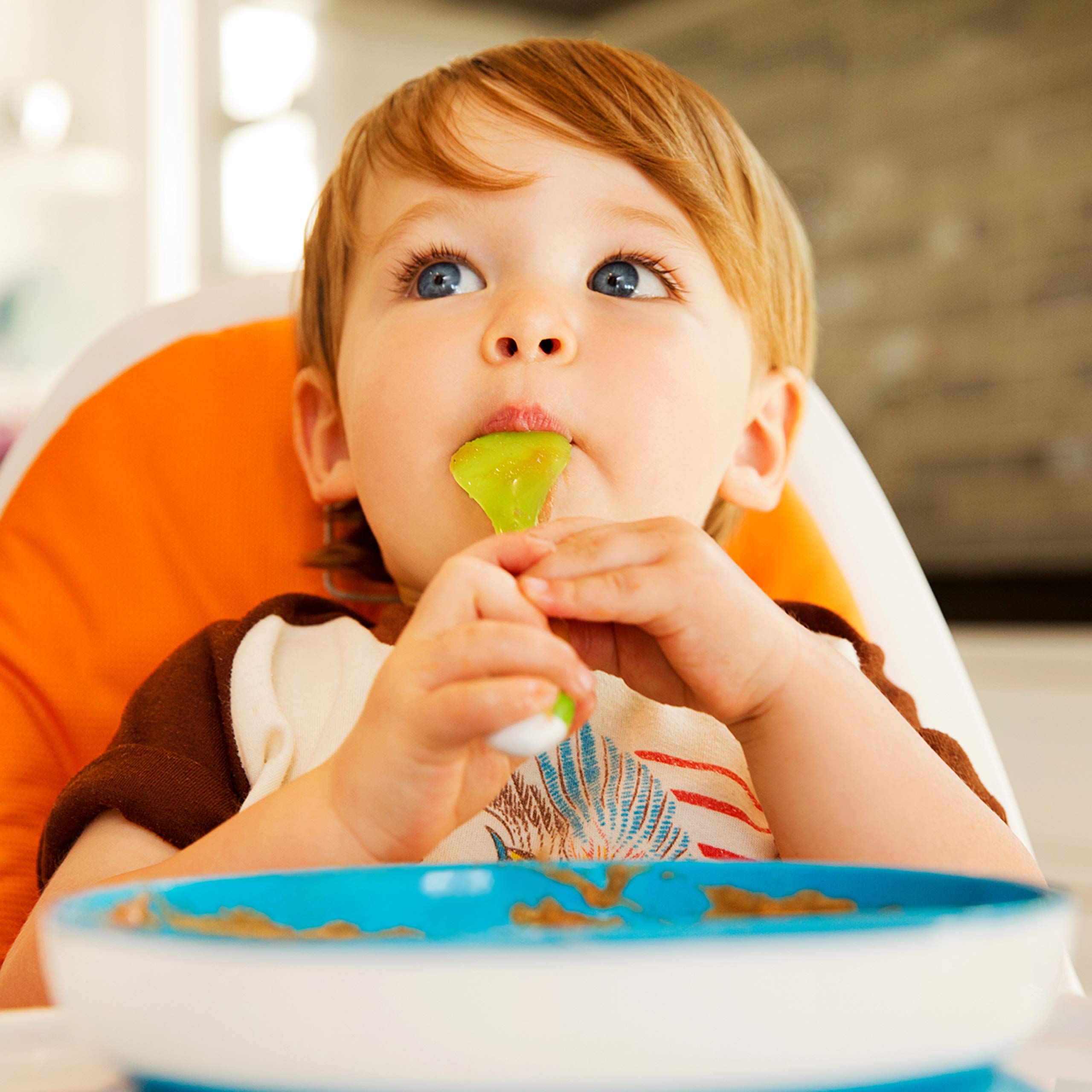 Munchkin® Stay Put™ Divided Suction Toddler Plate, Blue