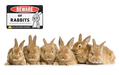 Venicor Beware of Rabbit Sign Decor - 8 x 12 Inches - Aluminum - Bunny Rabbit Decorations Accessories Gifts Supplies Stickers Stuff