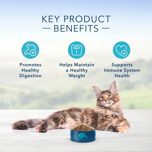Blue Buffalo Indoor Health Dry Cat Food, Chicken & Brown Rice, 5 Lb