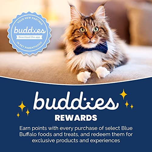 Blue Buffalo Cat Food for Kittens, Natural Chicken Recipe, High Protein, Dry Cat Food, 5 lb bag