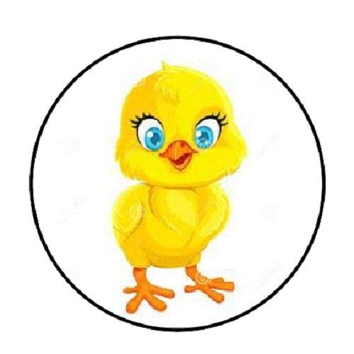 48 pcs Cute Easter Chick Stickers Envelope Seals Labels Round Tags, Stamps Sticker for Gift Cards, Envelopes, Boxes for Holiday, Birthday, Christmas
