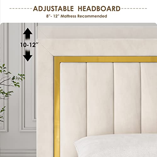 HITHOS King Size Bed Frame with Adjustable Tufted Headboard, Velvet Upholstered Platform Bed Frame with Gold Trim, Heavy Duty Mattress Foundation with Steel Frame, Easy-Assembly Slats (Beige, King)