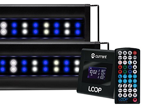 Current USA 4227 Orbit Marine IC PRO LED Reef Aquarium Dual Light System with Wireless Loop, 48"