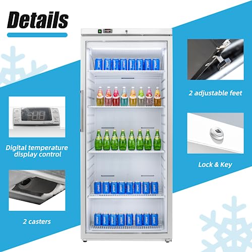BLUELINETECH Display Refrigerator 18.6Cu.ft, 33-45℉, White, for Food and Beverage Refrigeration, for Commercial Kitchen, Home, Canteen, Restaurant