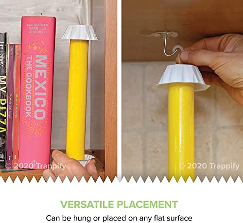 Trappify Hanging Fly Traps Outdoor: Fruit Fly Traps for Indoors | Fly Catcher, Gnat, Mosquito, & Flying Insect Catchers for Inside Home - Disposable Sticky Fly Trap for Indoor House Pest Control (2)
