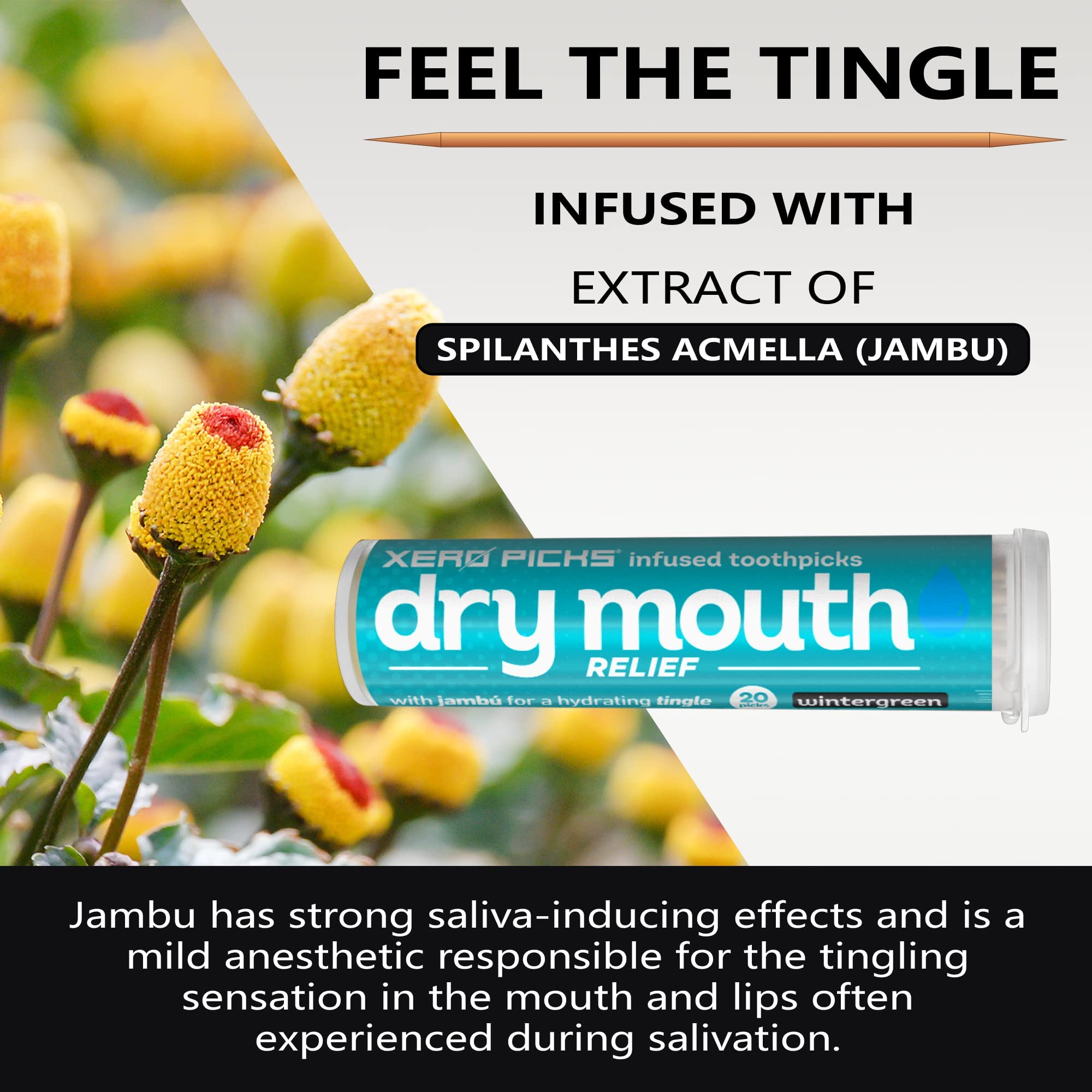 Xero Picks Dry Mouth - Infused Flavored Toothpicks for Long Lasting Fresh Breath & Dry Mouth Prevention (1 Pack - Wintergreen)