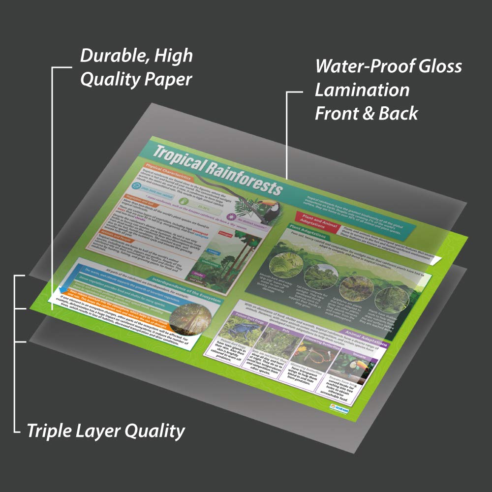 Daydream Education Tropical Rainforests | Geography Posters | Laminated Gloss Paper measuring 33” x 23.5” | Geography Classroom Posters | Education Charts
