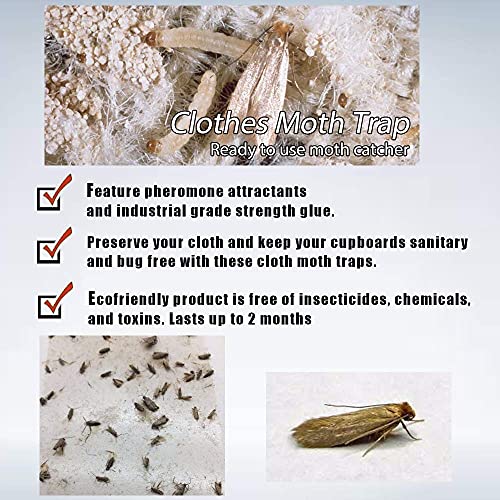6 Pack β Powerful Pheromone Enhanced Moth Traps β Refillable Hanging Box - Odor-Free & Natural for Closet, Pantry, Kitchen