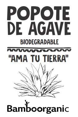 50 Pack Agave Fiber Straws Approved Bio Preferred, Eco-Friendly, Alternative to Plastic Straws & Paper Straws, Plant Based