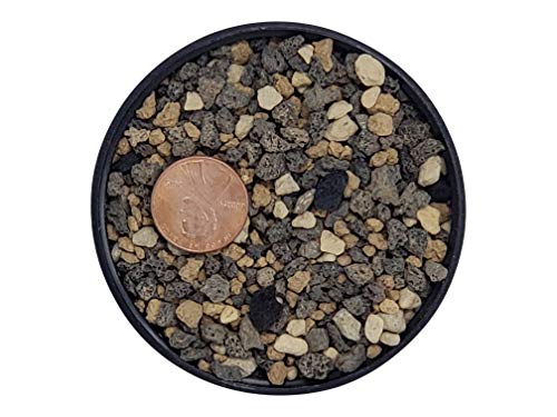 Bonsai Soil Mix - Premium Professional, All Purpose, Sifted and Ready to Use Tree Potting Blend in Easy Zip Bag - Akadama, Black Lava, Pumice & Charcoal (1.25 Quart)