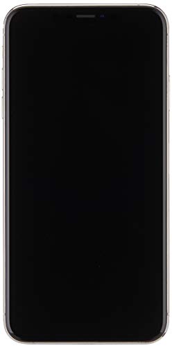 Apple iPhone XS Max, 64GB, Silver - Unlocked (Renewed Premium)