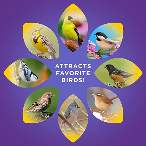 Audubon Park No Waste Blend Wild Bird Food, Premium Shell Free and No Mess Bird Seed for Outside Feeders, 5-Pound Bag