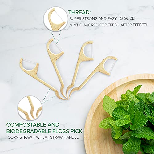 Natural Dental Floss Picks - Eco Friendly Cruelty Free & Vegan Tooth Flossers Pick Set with Biodegradable and Compostable BPA Free Handle & Zero Waste Packaging - 200 Pack (Mint Flavored)