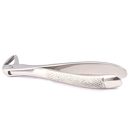 DDP Dental Tooth Extraction Forcep 106 Dentist Lab Tools Stainless Steel