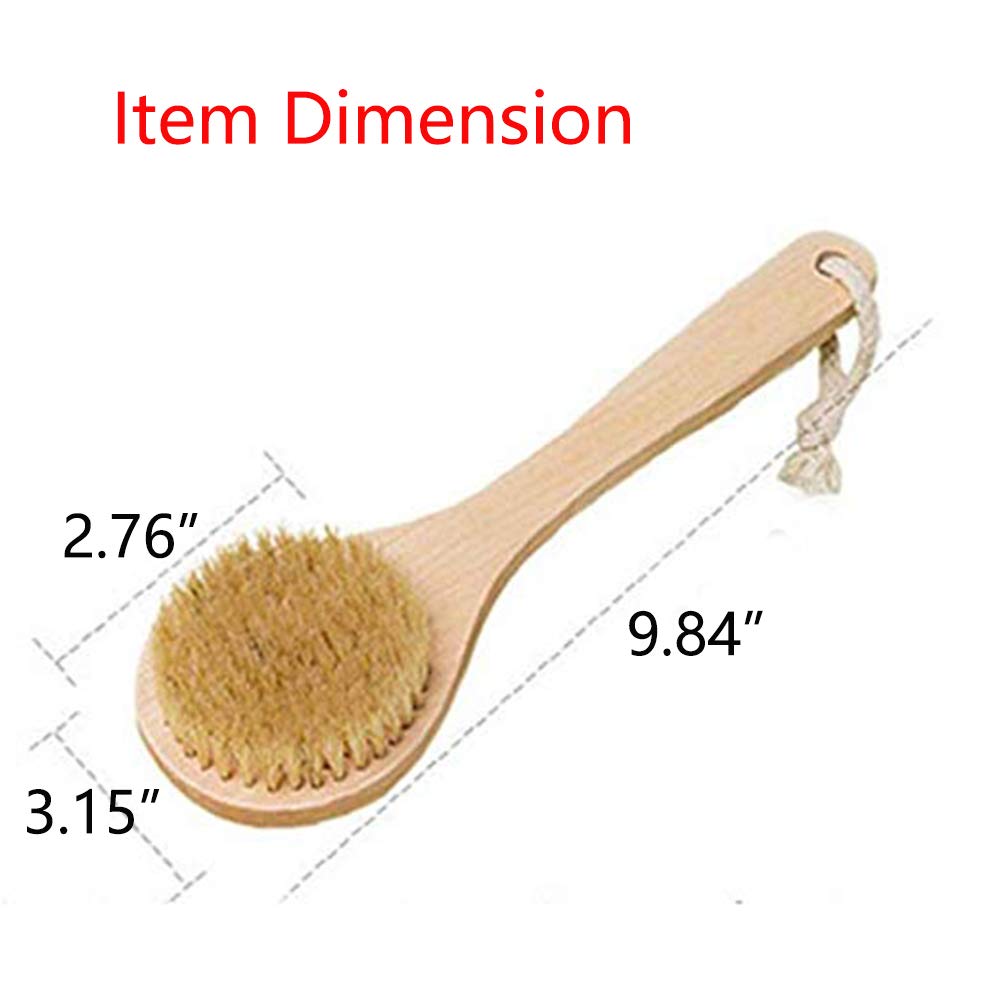 HiKin Dry Bath Body Brush Back Scrubber 9.84", Short Handle Natural Bristles Bath & Shower Brush with Anti-Slip Wooden Handle, Perfect for Exfoliating/Blood Circulation/Detox and Cellulite, etc.
