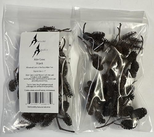 Alder & Casuarina Cones Betta/Shrimp Tank Promotes Natural Habitat, Breeding, Tannin Producing Improves Immunity, Easy to Use, Alder Cone Alternative by Awesome Aquatic (50 Pack Alder)