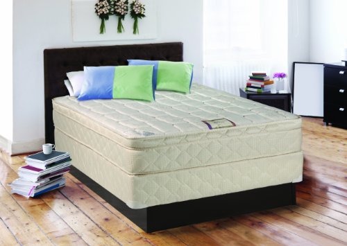 Continental Sleep 10-Inch Medium Plush Eurotop Pillowtop Innerspring Fully Assembled Mattress, Good for The Back, Twin XL, White LT Brown