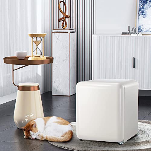 Kismile Retro Mini Fridge with Freezer,1.7cu. ft Small fridge with Adjustable Removable Glass Shelves, Mechanical Control, Compact Refrigerator for Office, Dorm, Bedroom (White)
