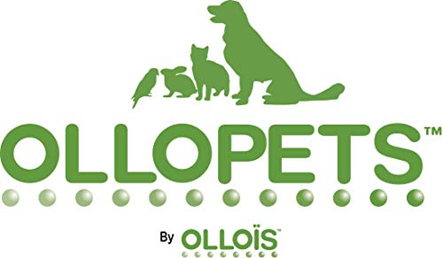 OLLOPETS Dental Care, Organic Homeopathic Remedy for All Pets, 1 Fl Ounce