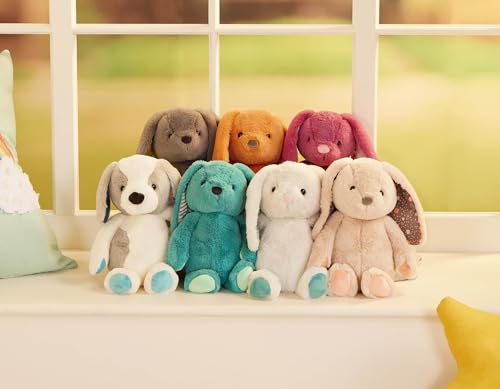 B. toys- B. softies- 12" Plush Bunny– Soft & Cuddly Plush Bunny – Huggable Stuffed Animal Rabbit Toy – Washable- Happy Hues- Peppy Mint Bunny- 0 Months +