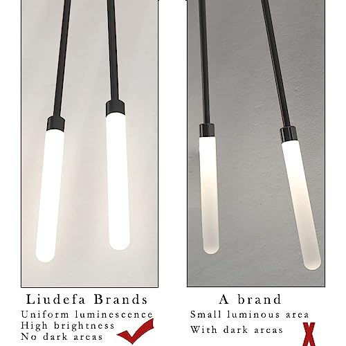 51 Inch Dimmable LED Ceiling Light Fixture,42 Lights Ceiling Lights Flush Mount Chandelier Black Indoor Lighting for Living Room,42W+12W Firework Deco Close to Ceiling Light with Remote Control
