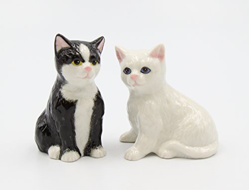 Cosmso Gifts 20759 Black and White Cats Salt and Pepper Shakers