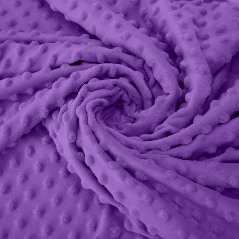 Pro Goleem Baby Soft Minky Dot Blanket with Silky Satin Backing Baby Gifts for Boys and Girls (Purple, 30ββ x 40ββ)
