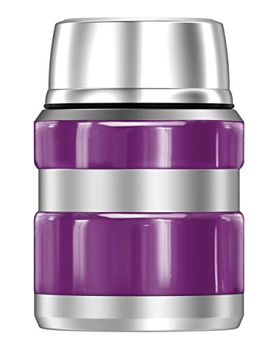 THERMOS Looney Tunes Tweety Bird Pose, STAINLESS KING Stainless Steel Food Jar with Folding Spoon, Vacuum insulated & Double Wall, 16oz