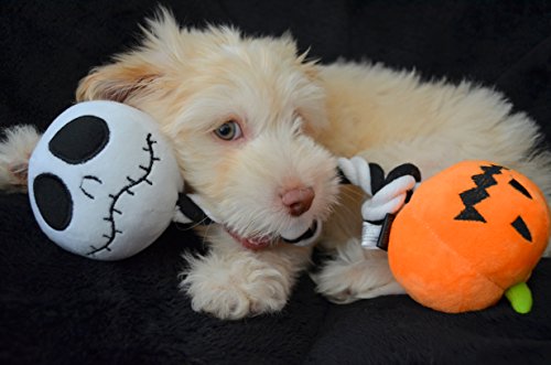Disney Nightmare Before Christmas Pumpkin King Rope Tug Chew Dog Toy, Two Built-in Squeakers, Multi-Sensory Toy