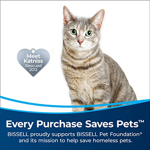 BISSELL air180 and air180 max Replacement filter
