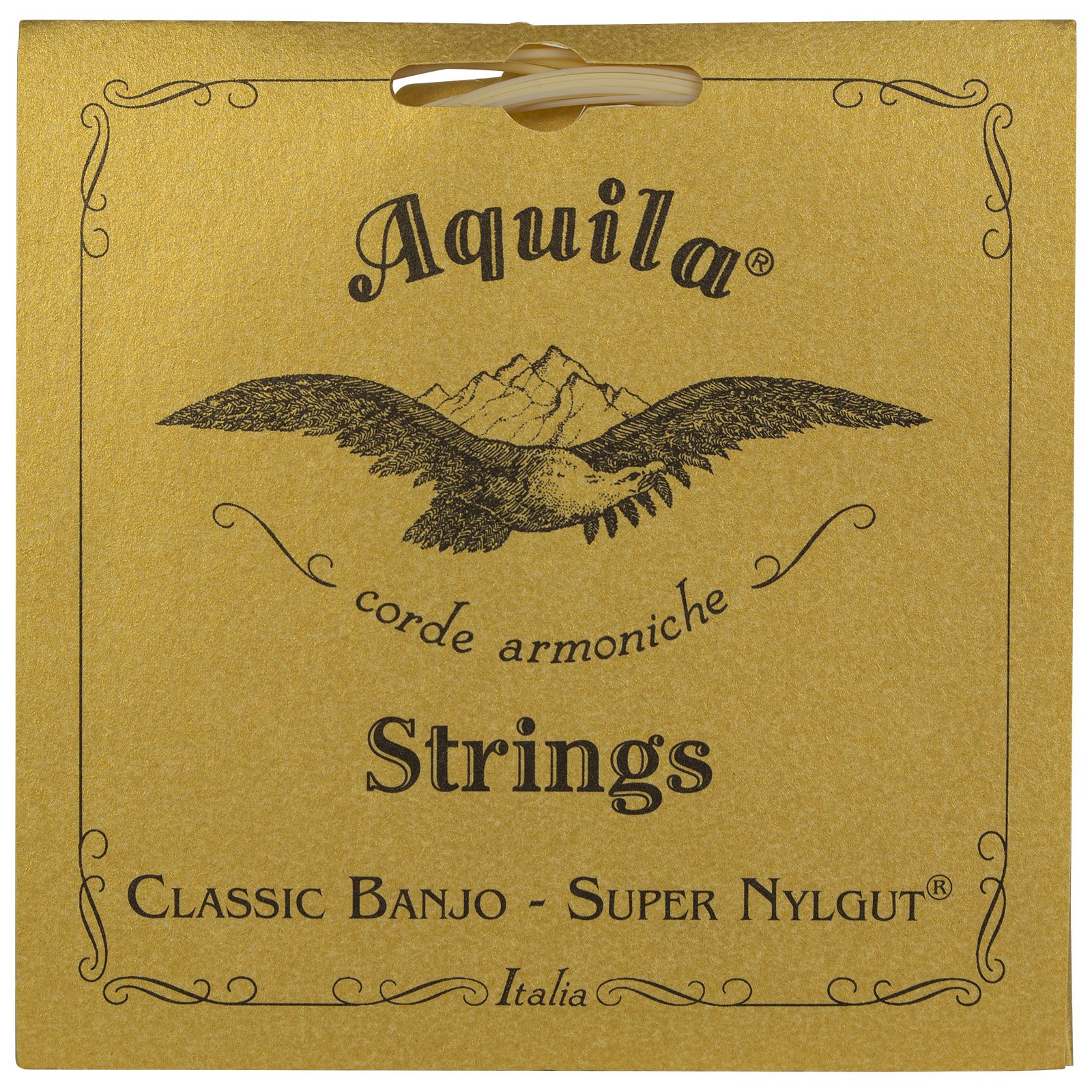 Aquila New Nylgut AQ-1B Banjo Medium Tension DBGDG-Set of 5 (4th Red Series String)