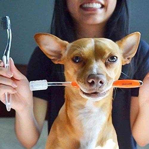 LINHART Extra Soft Toothbrush β Teeth Whitening Toothbrush with Multi Length Bristles, White with White Bristles, 2 Pack