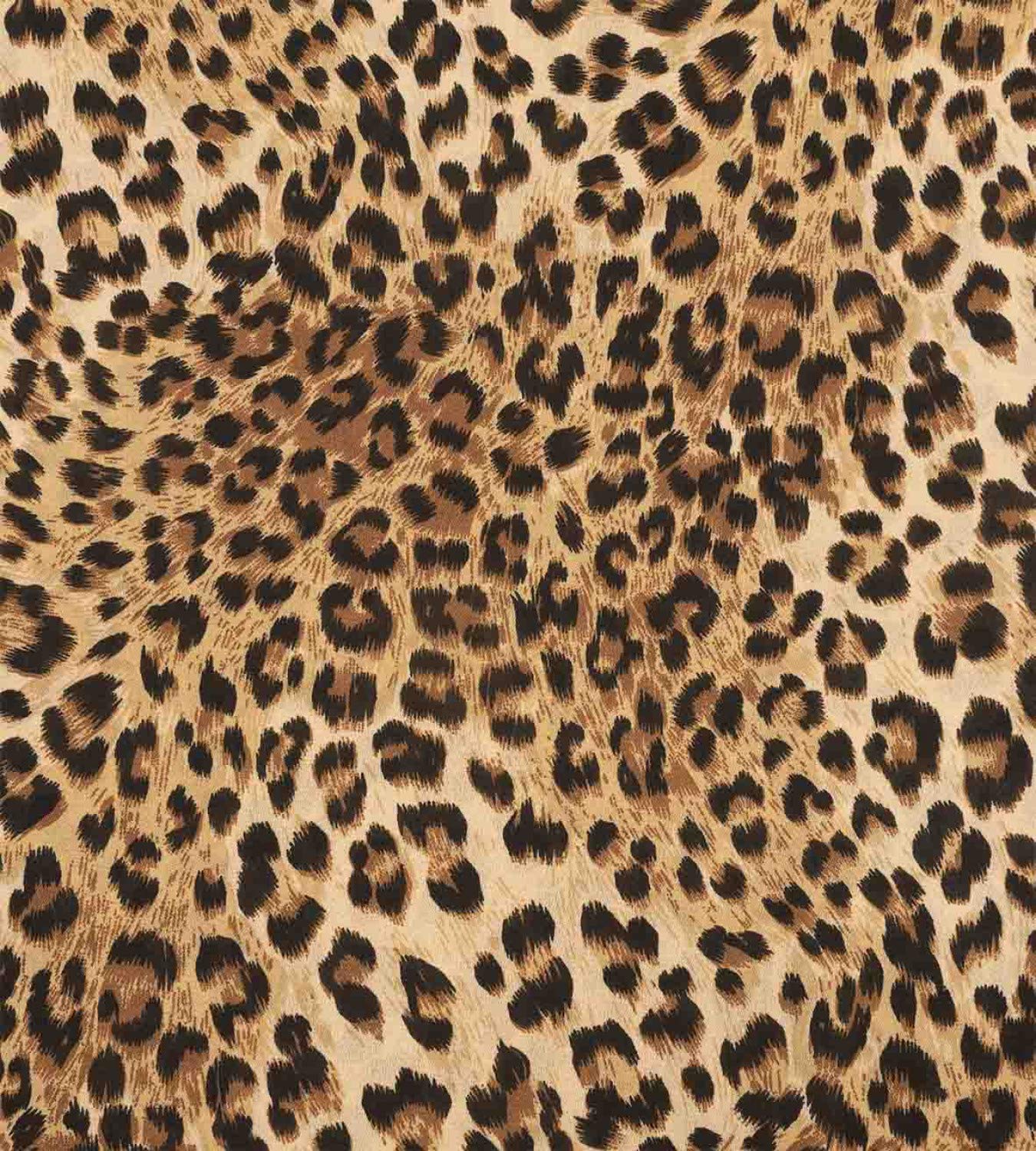 Ambesonne Leopard Print Duvet Cover Set, Skin Pattern of a Wild Savannah Animal Powerful Panther Big Cat, Decorative 3 Piece Bedding Set with 2 Pillow Shams, Queen Size, Brown Beige