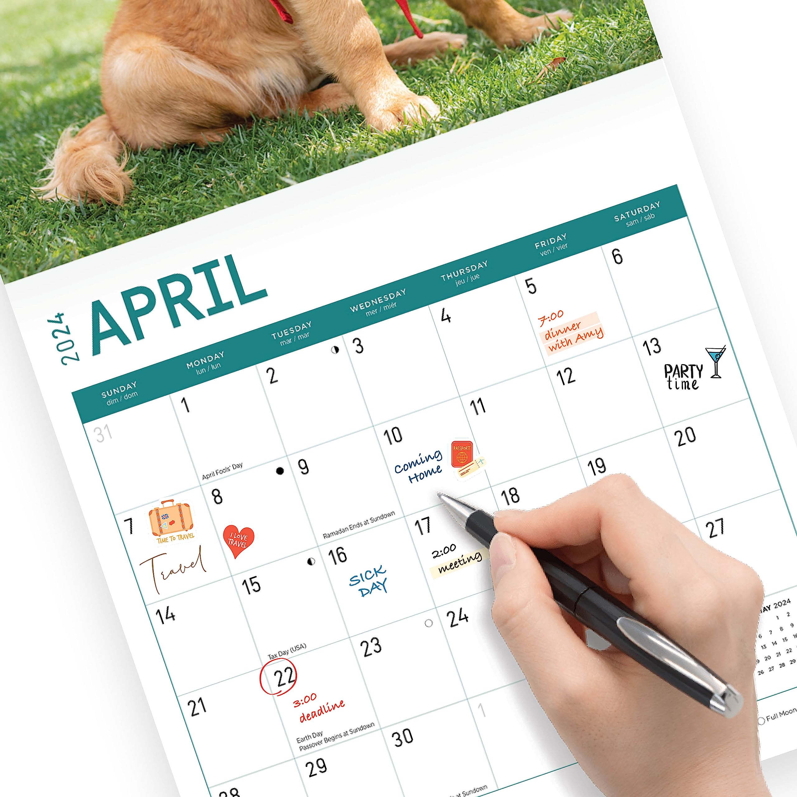 2024 Golden Retrievers Monthly Wall Calendar by Bright Day, 12 x 12 Inch Cute Dog Breed Gift