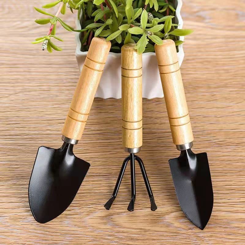 3Pcs Succulent Tools, This Tool Set is Especially Suitable for Office Gardening, Desktop Gardening and Indoor Bonsai,It Helps You All Kinds of Small Potted Plants,Meets Your Gardening Needs