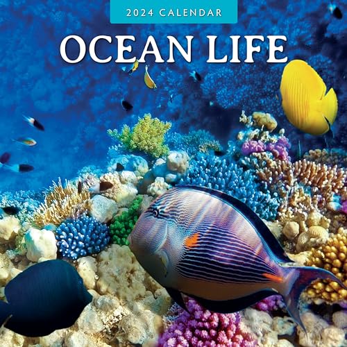 2024 Ocean Life Wall Calendar by Red Robin, 12 x 12