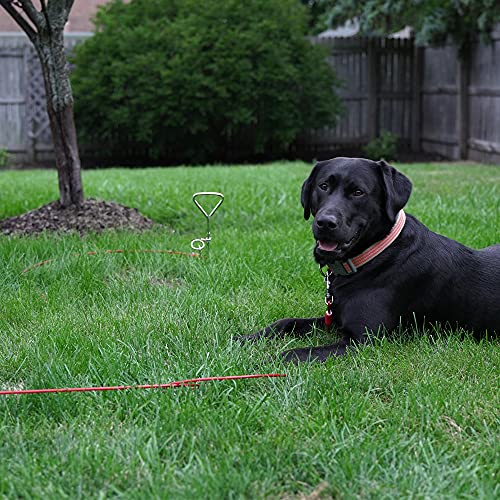 BV Pet Tie Out Cable for Dogs Up to 125 Pounds, 30 Feet (Red/ 125lbs/ 30ft)