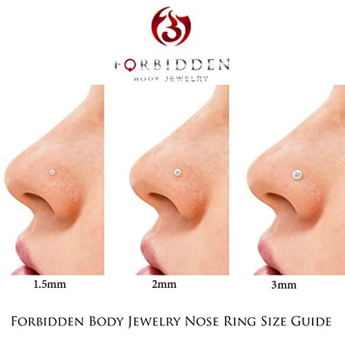 20g Surgical Steel Heart Straight Nose Stud Jewelry
