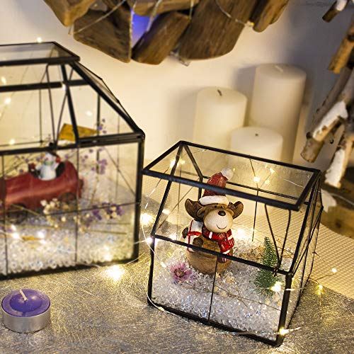Ferrisland Glass Plant Terrarium Container Wardian Case Indoor Small Succulent Terrarium Planter w/Door for Tabletop Decor DIY Gift - 5.0"x4.3"x4.3"