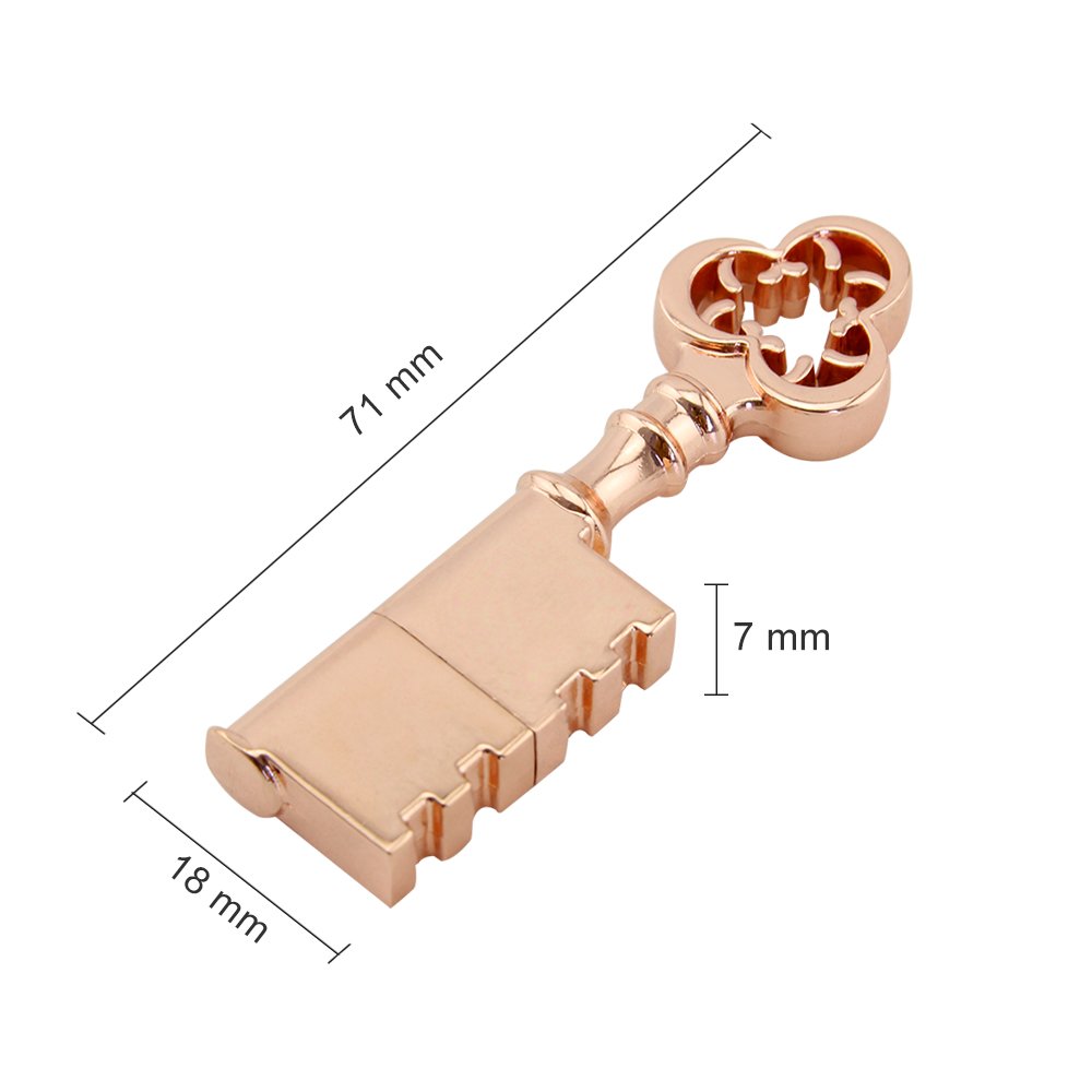 Fashion Cool Metal 32GB USB 2.0 Flash Drive Rose Gold Key Shape Pen Drive Keychain Thumb Drive Memory Stick Gift