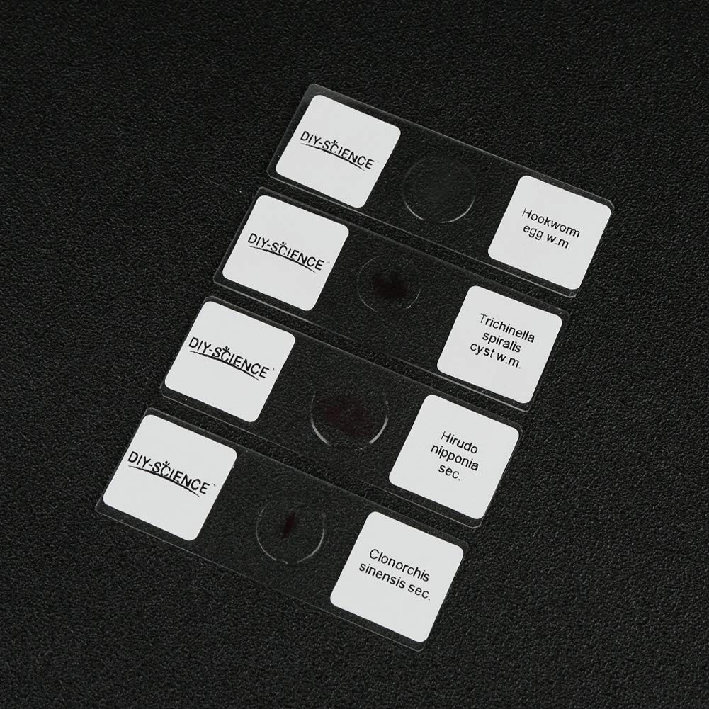 Prepared Parasitology Microscope Slide Set, Excellent 30pcs Slides Resource for Instruction at The College Level (Parasitology)