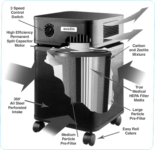 Austin Air Healthmate - High-Efficiency HEPA Air Purifier for Allergies, Dust, and Odors, Enhance Your Indoor Air Quality, Black